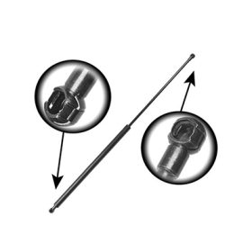 Automotive Hatch & Trunk Struts - Gastac Gas Spring